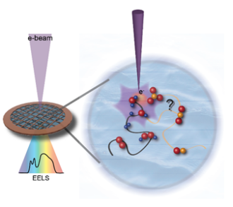 In Situ Liquid Cell Electron Microscopy Atomic Level Heterogeneity and ...